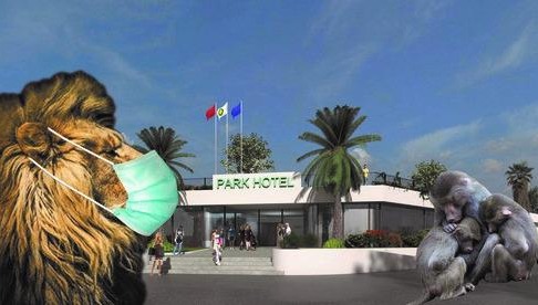 לראשונה בעולם: מלון בוטיק יוקם בלב גן החיות בצפון - כיפה