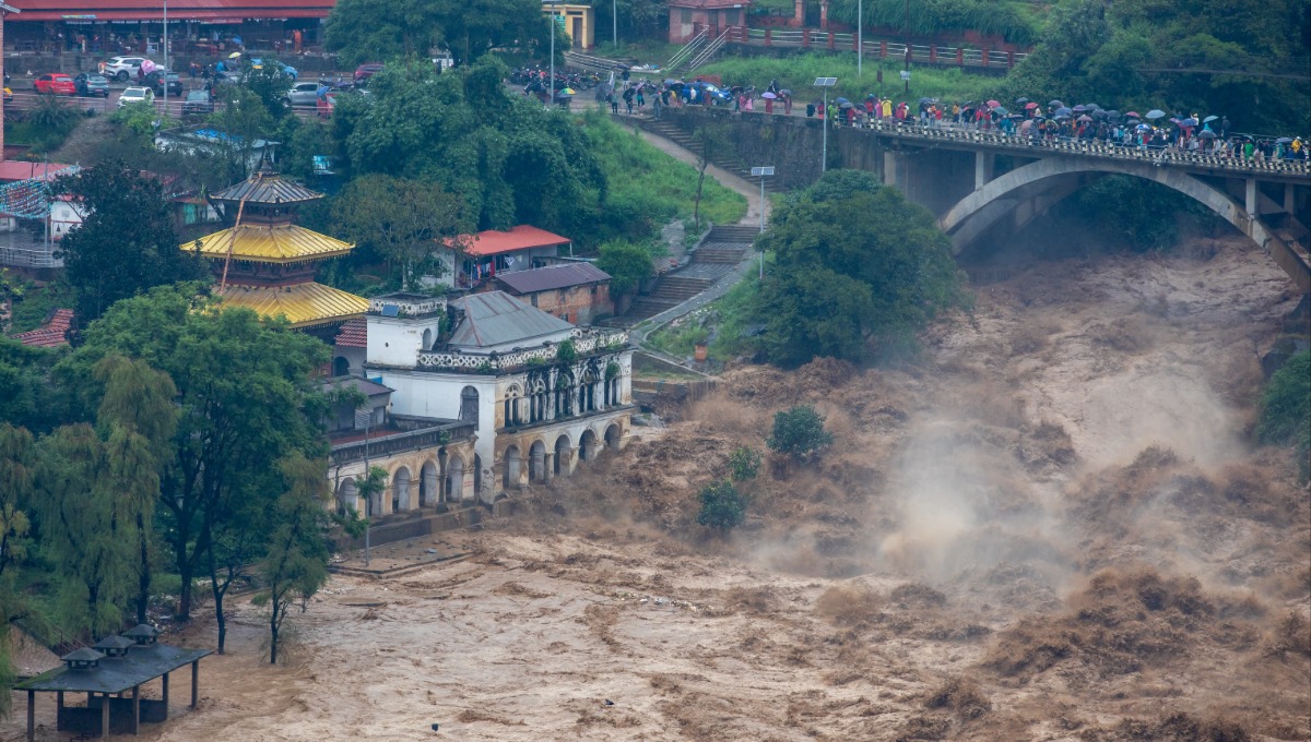 Babi palomas onlyfans